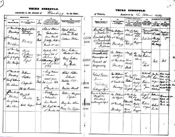 The Sinclair Family Tree